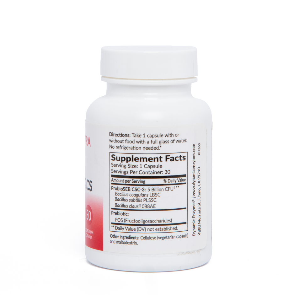 Products – Dynamic Enzymes